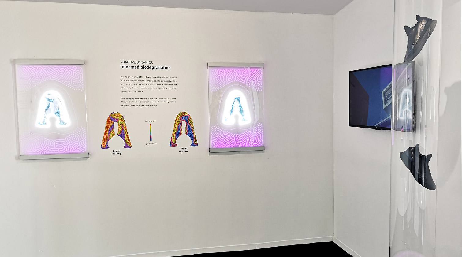 G3-BioEvolution - PUMA CATch up