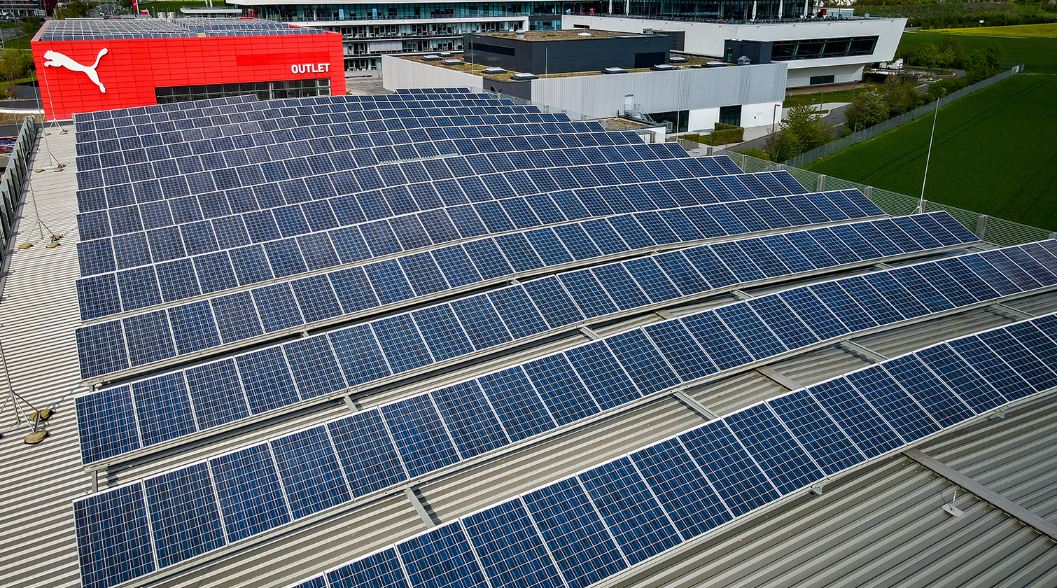 gallery-panel - PUMA CATch up