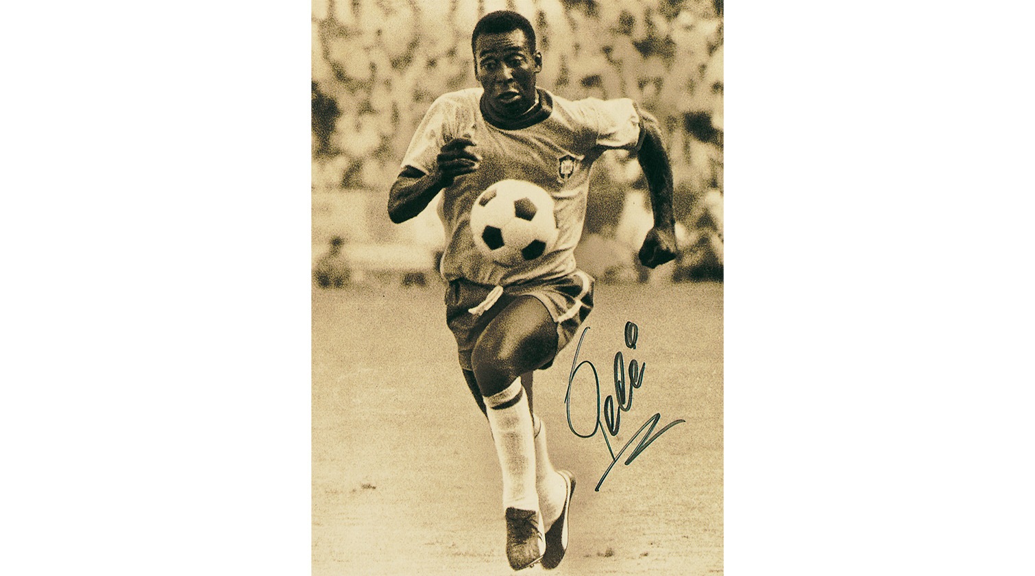 gallery-pele3 - PUMA CATch up